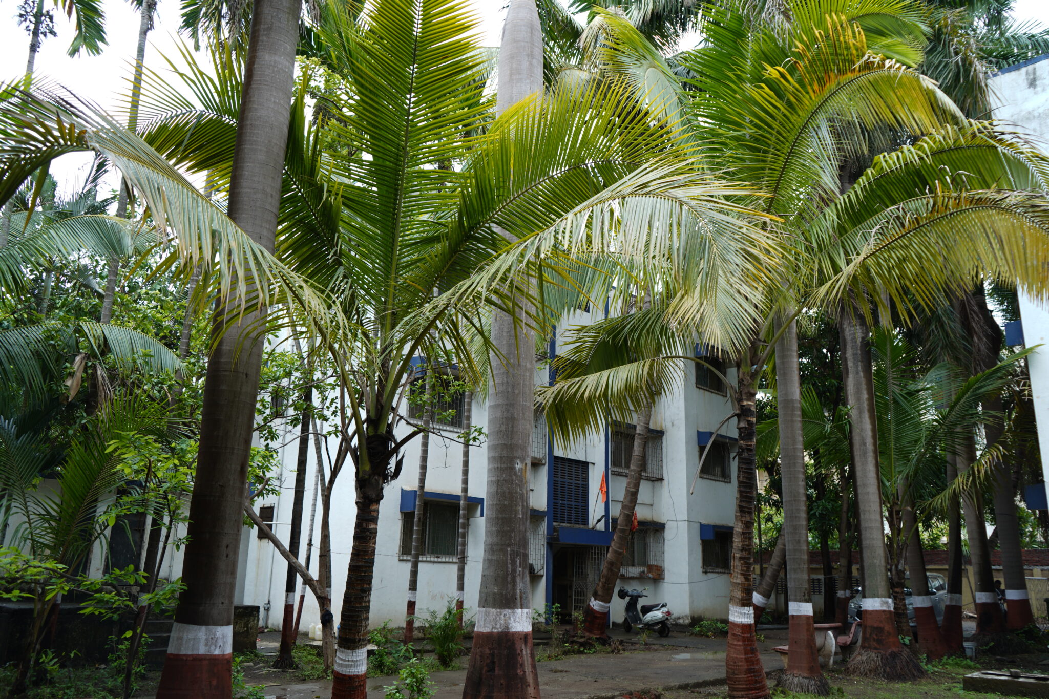 Employee Facilities - Custom Capsules Pvt. Ltd.